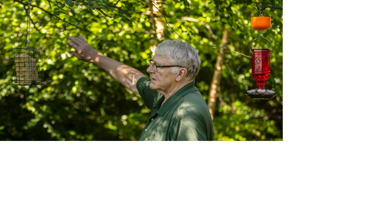 Papillion man turns his garden into a bird oasis