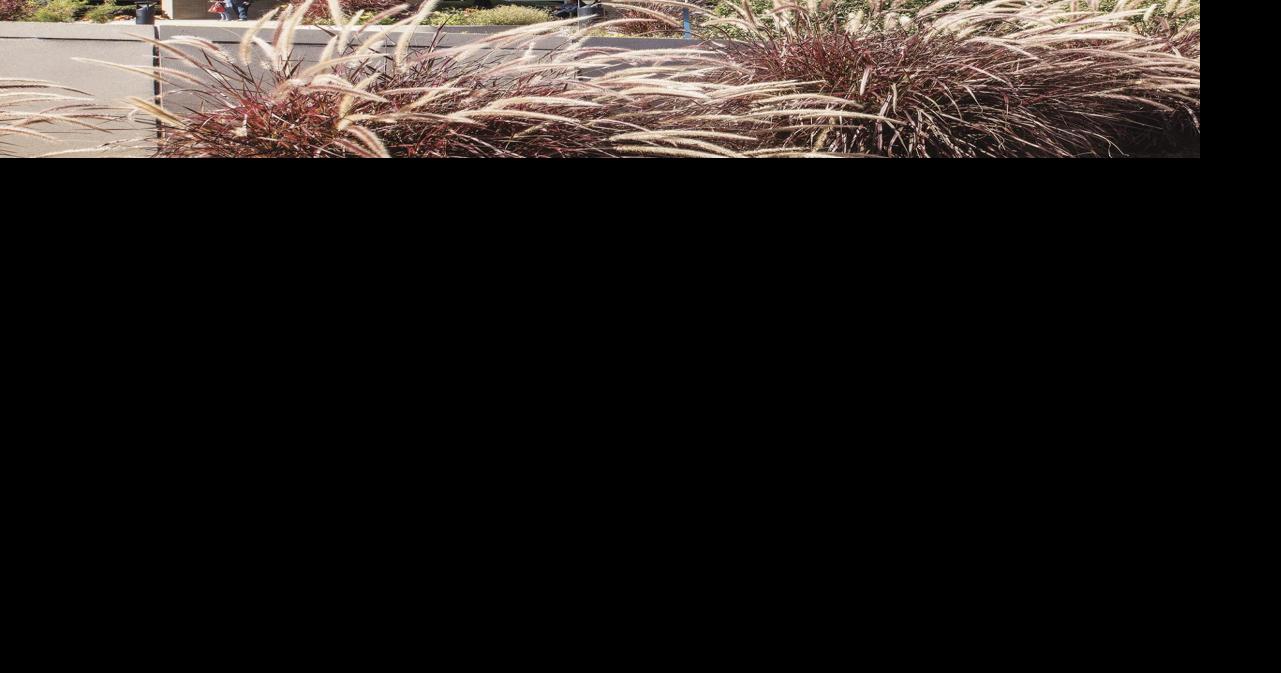 CUMC-Bergan Mercy certified as Level I trauma center