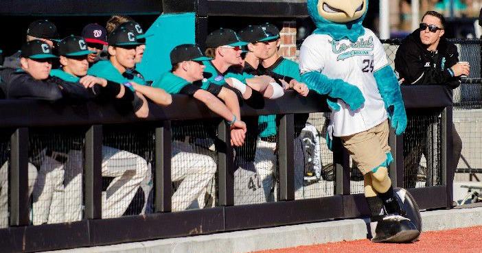 What’s a Chanticleer? Coastal Carolina captures fans’ hearts, but ...