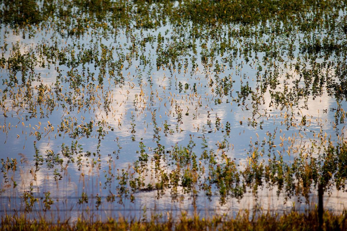 The Public Pulse: Over-the-bank flooding