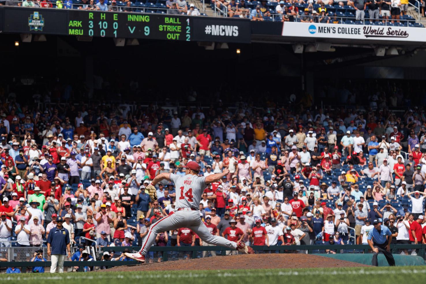 Tim Cavanaugh appointed Douglas County treasurer