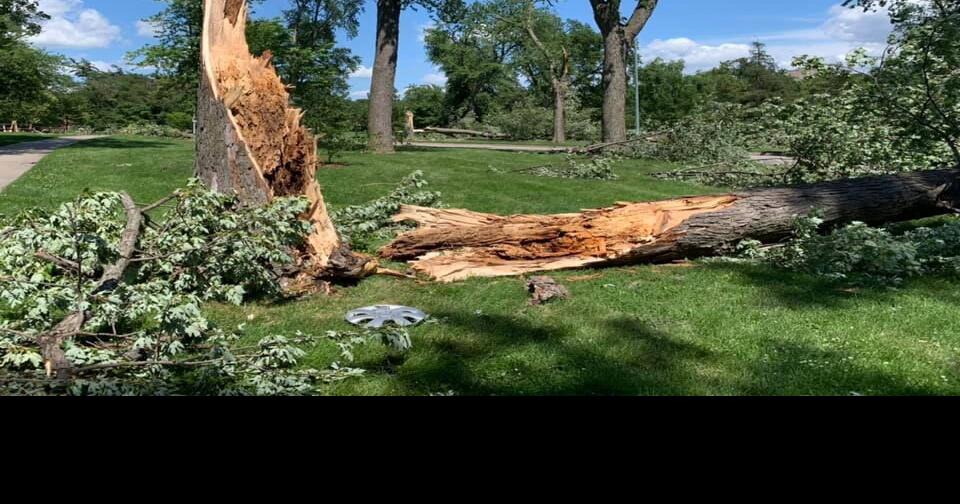 Omaha Parks Foundation will help plant more than 500 trees this spring