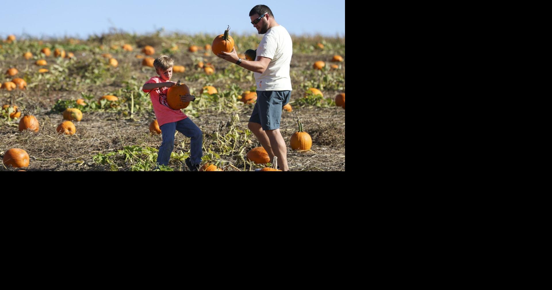 Vala's Pumpkin Patch and Apple Orchard implements new chaperone policy