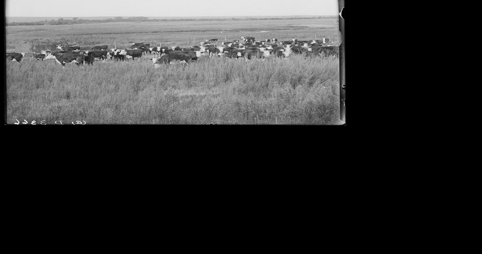 7. Lee Park (Custer and Valley counties)