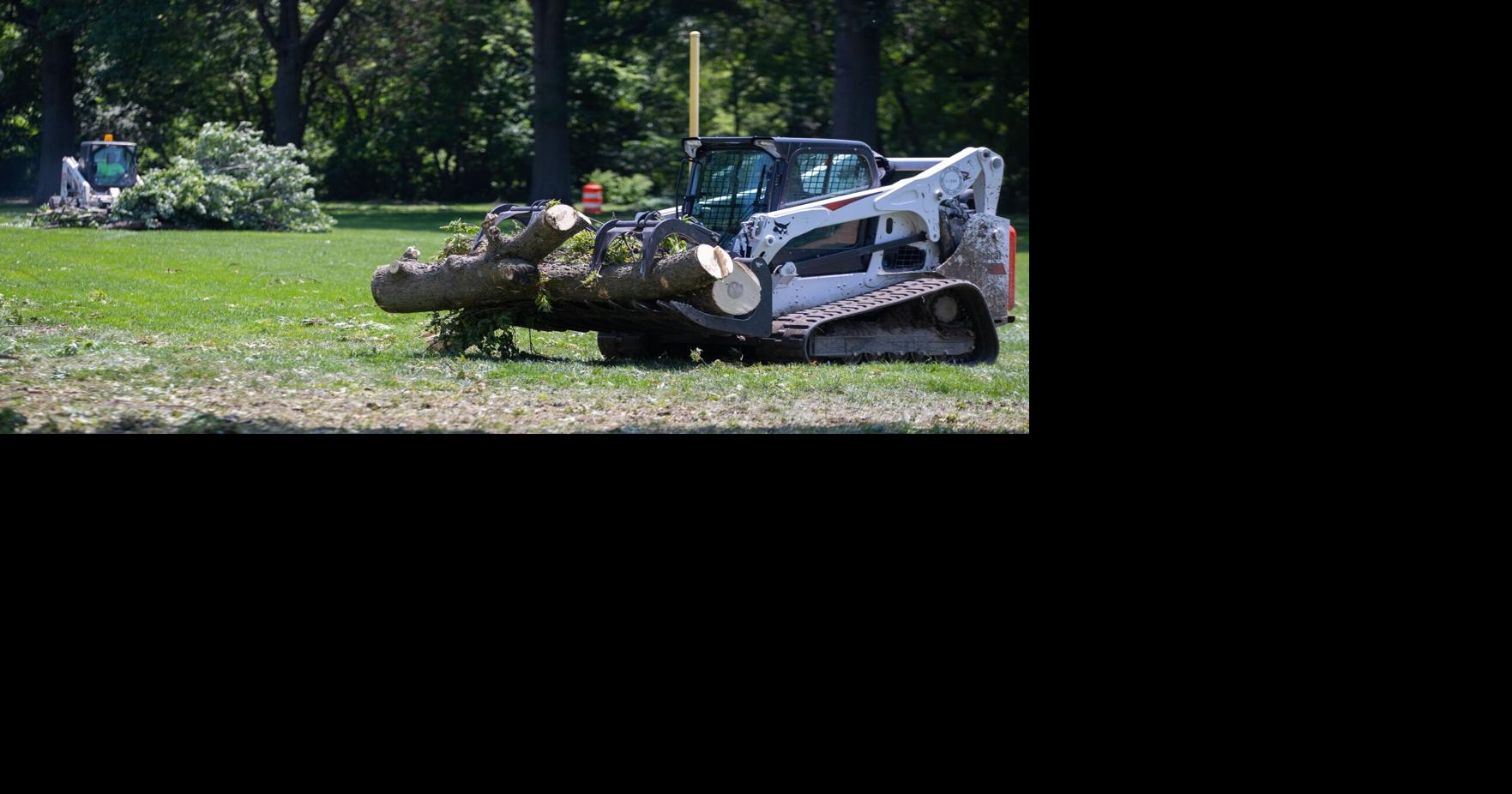 The Public Pulse Try This Approach In Elmwood Park Bad Tif Decision