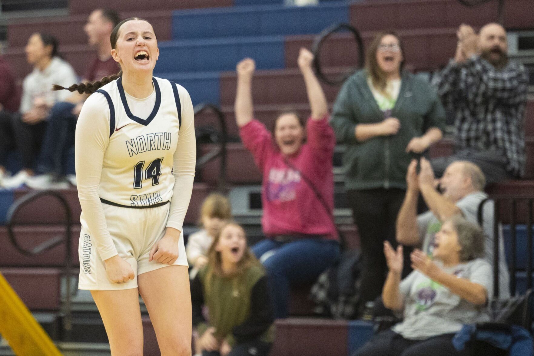 Waverly man jailed after alleged hotel outburst, attack on Lincoln police