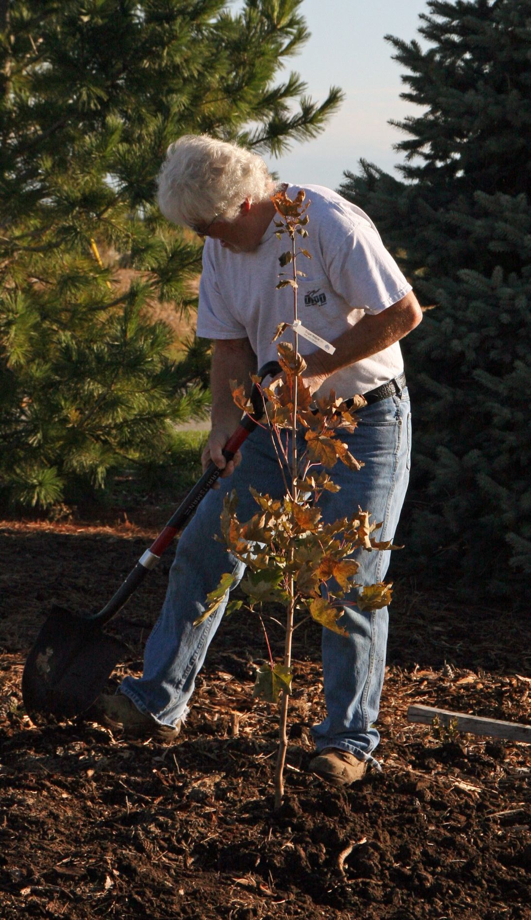 First fall planting a success for Arbor Society | Gretna Breeze | omaha.com