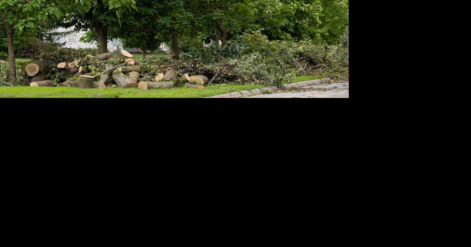 Omaha tree debris site to close next week