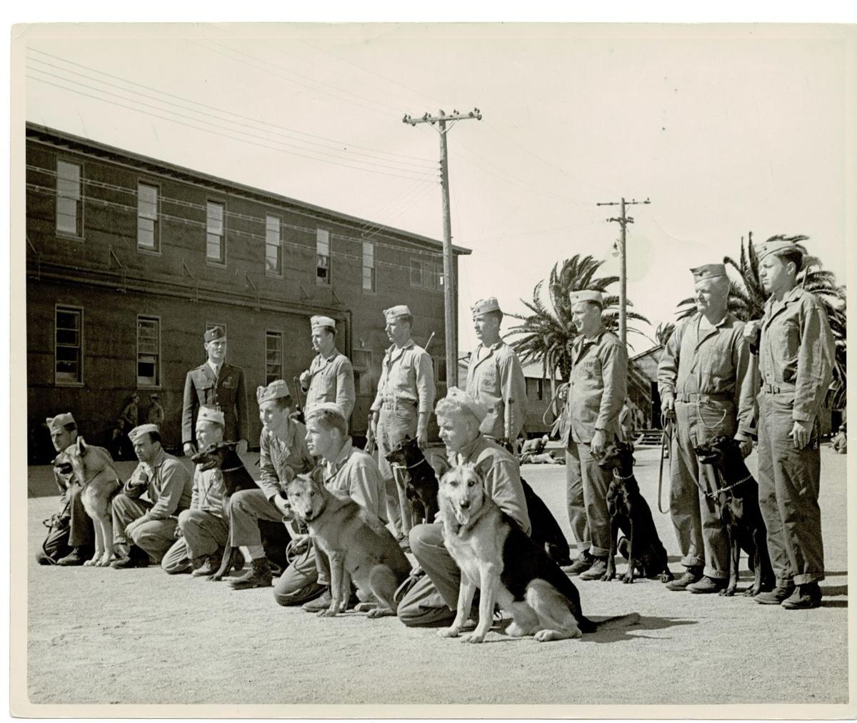 Omaha vet, 103, trained Marine war dogs at Iwo Jima