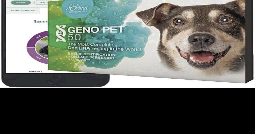 Orivet Geno Pet 5.0 Dog DNA Test