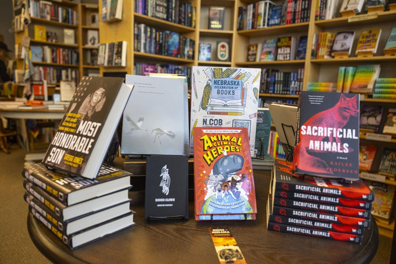 These books were Lincoln's favorites in 2025