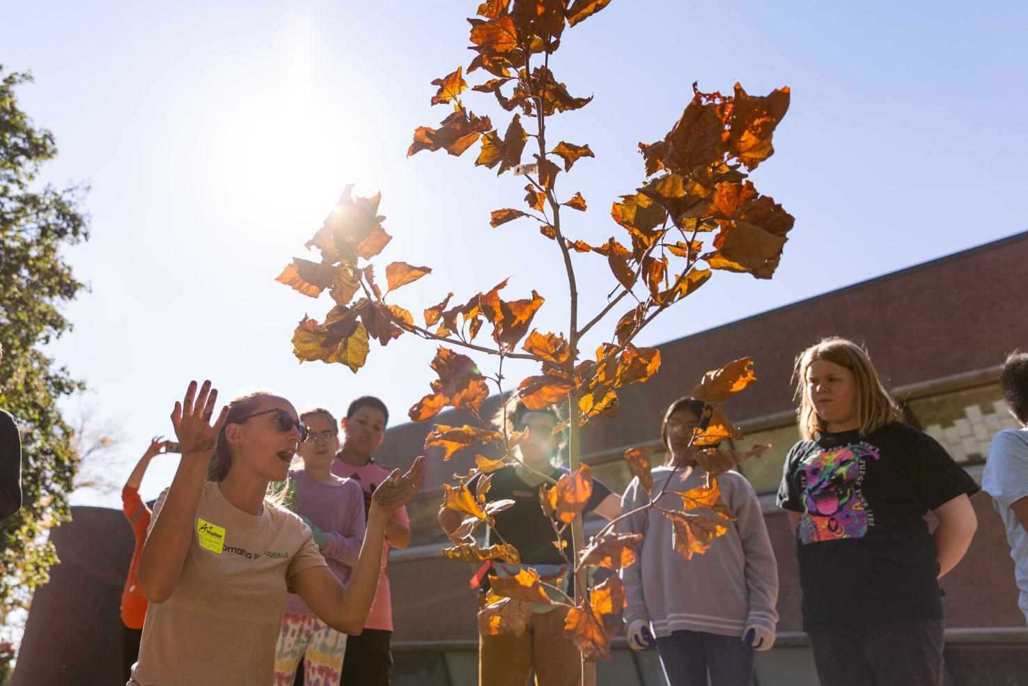 Omaha tree program aims at beauty and climate resilience