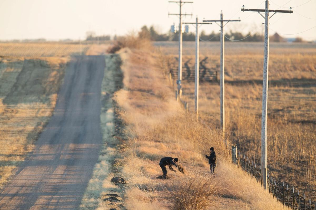 Aubrey Trail says he accidentally suffocated Sydney Loofe | Crime ...