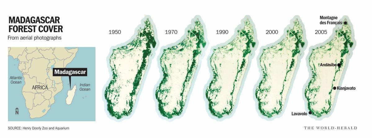 Henry Doorly Zoo team plays key role in restoring lemur habitat in ...