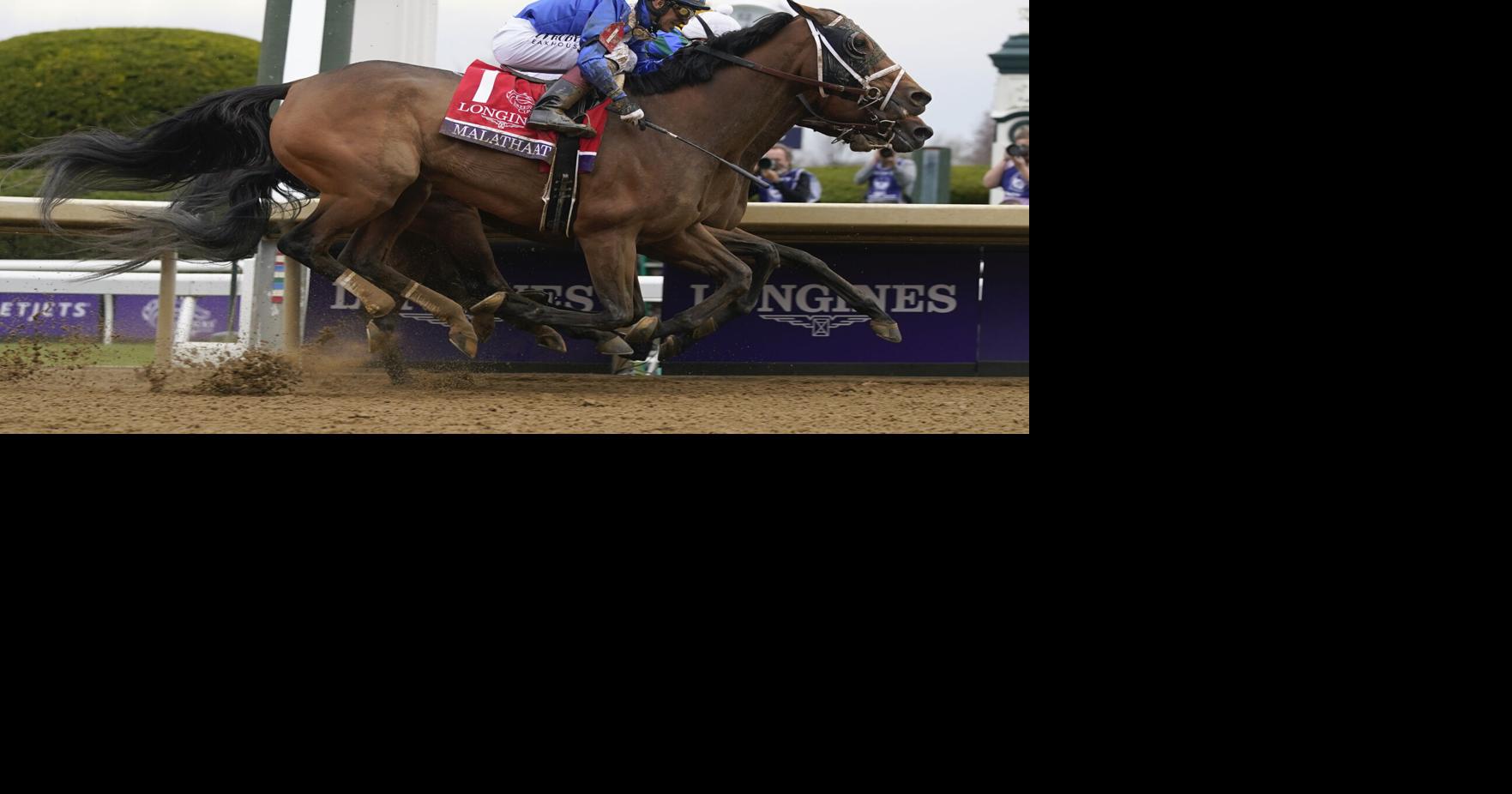 Horse racing notes: Odorisio brothers compete in national handicapping ...
