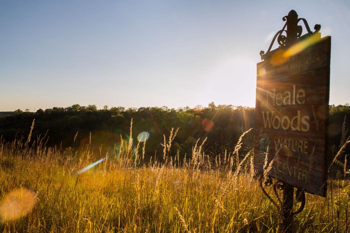 Kelly: This year's immersive 'Walk the Night' performance is at Neale ...