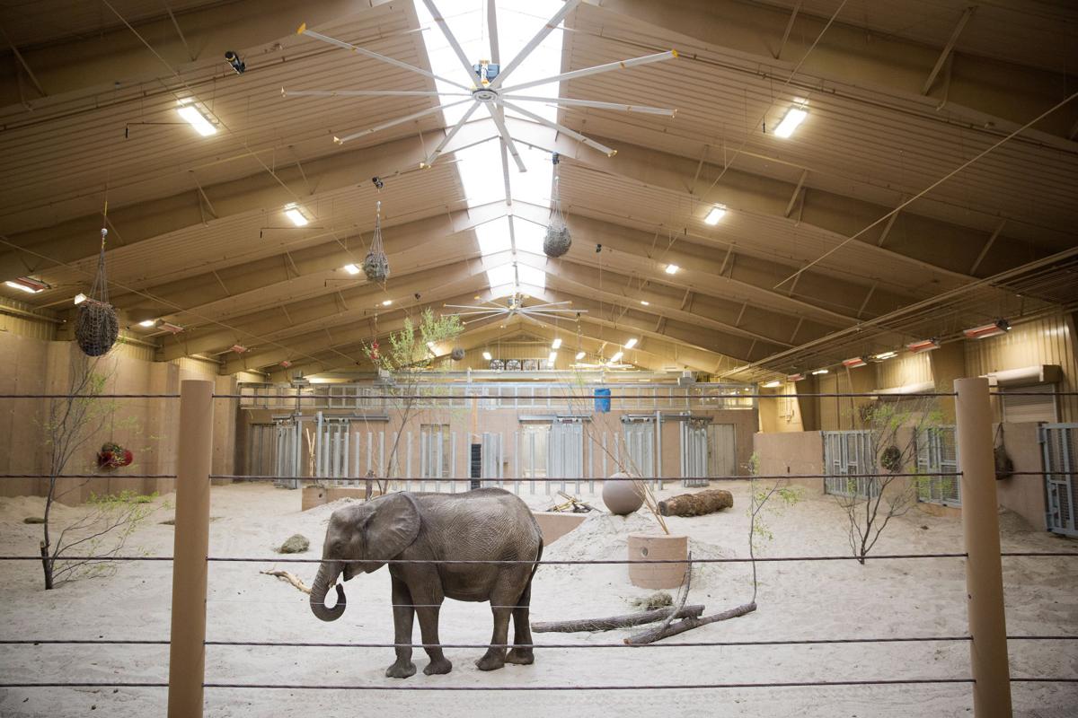 Photos: The Henry Doorly Zoo through the years | Henry Doorly Zoo ...