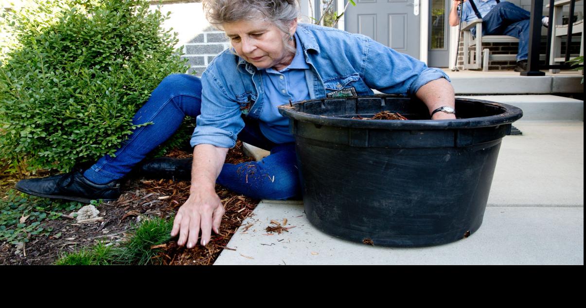Grace: At 72, writer and gardener Jan Riggenbach still digs in, even ...