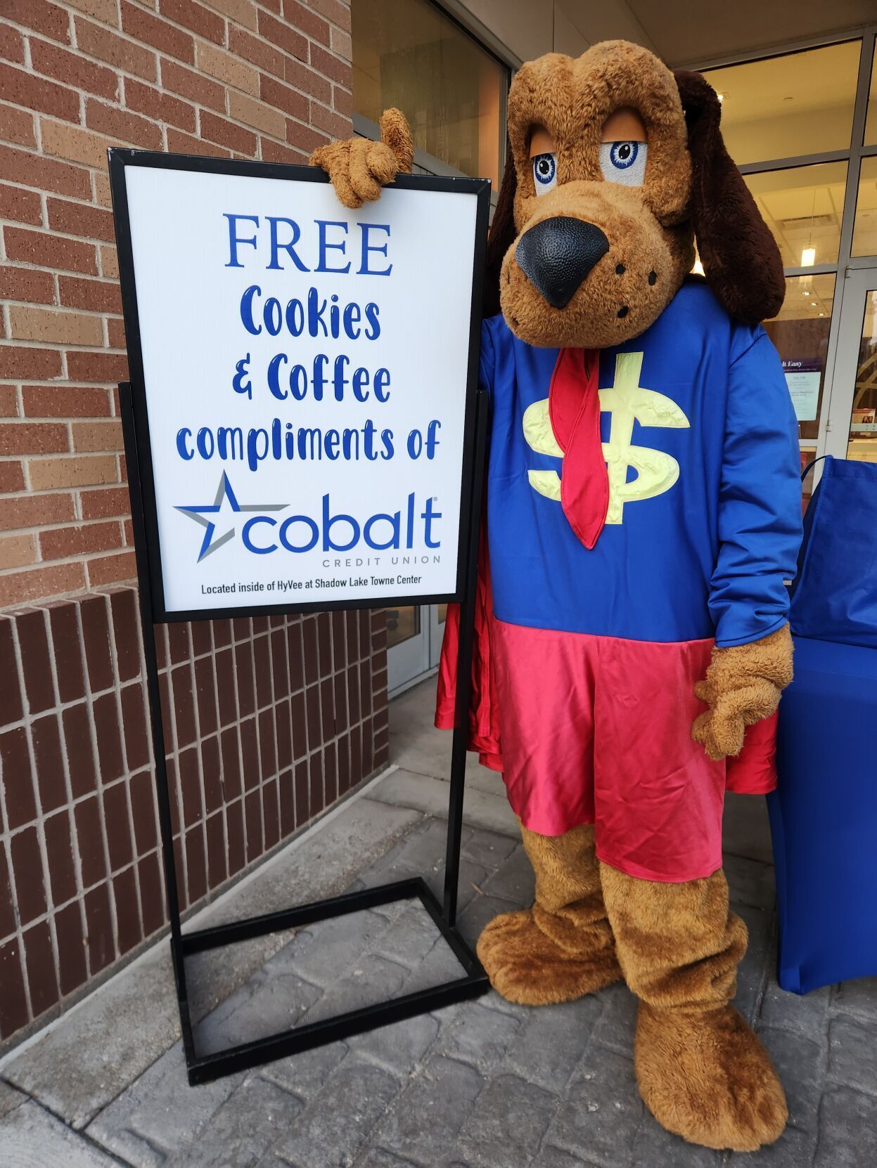 Why Cobalt Credit Union offers more than just banking