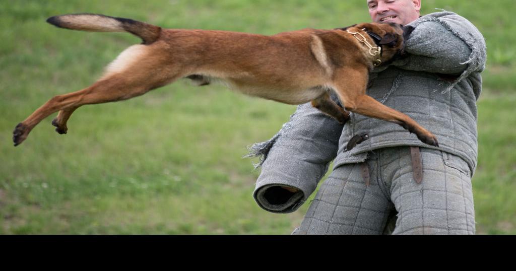 Back in the day, April 6, 2011: Police dog bites deputy in the line of duty