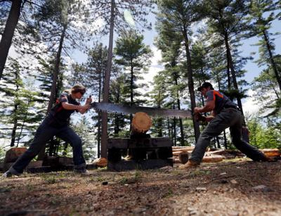 Students throw axes, saw and chop wood, more at Adirondack Woodsmen's ...