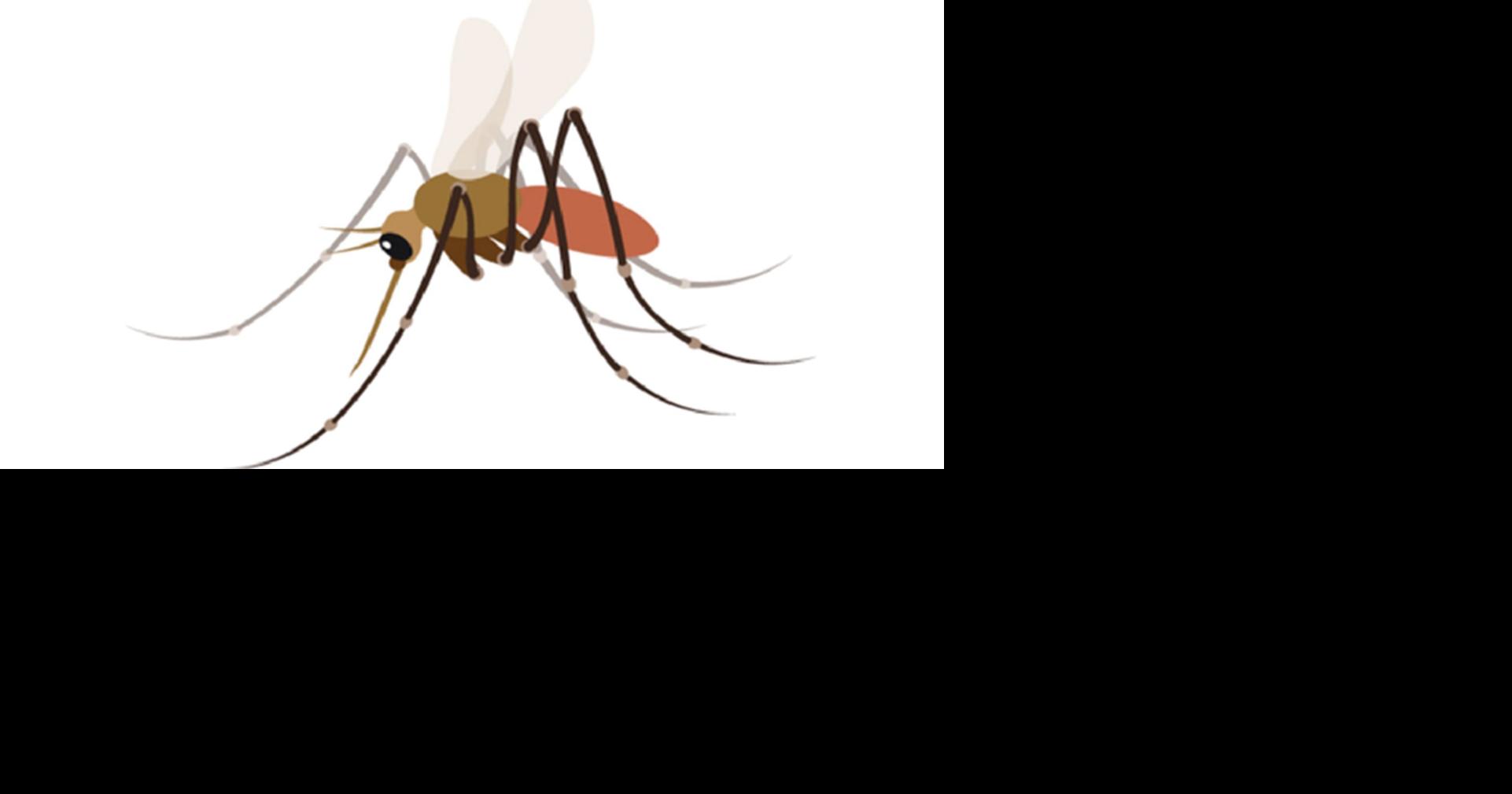 Don't be the next meal for those mosquitoes in the backyard