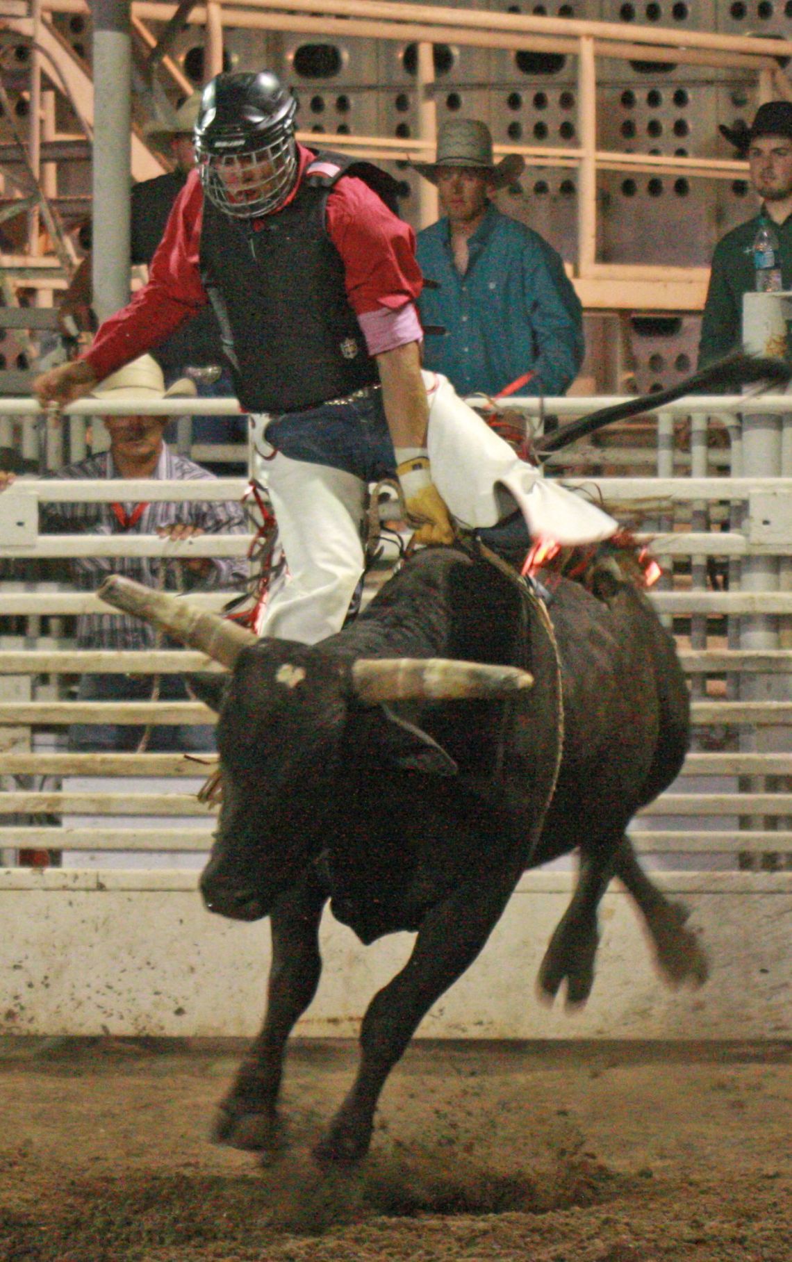 Sarpy County Fair produces big numbers | Papillion Times | omaha.com