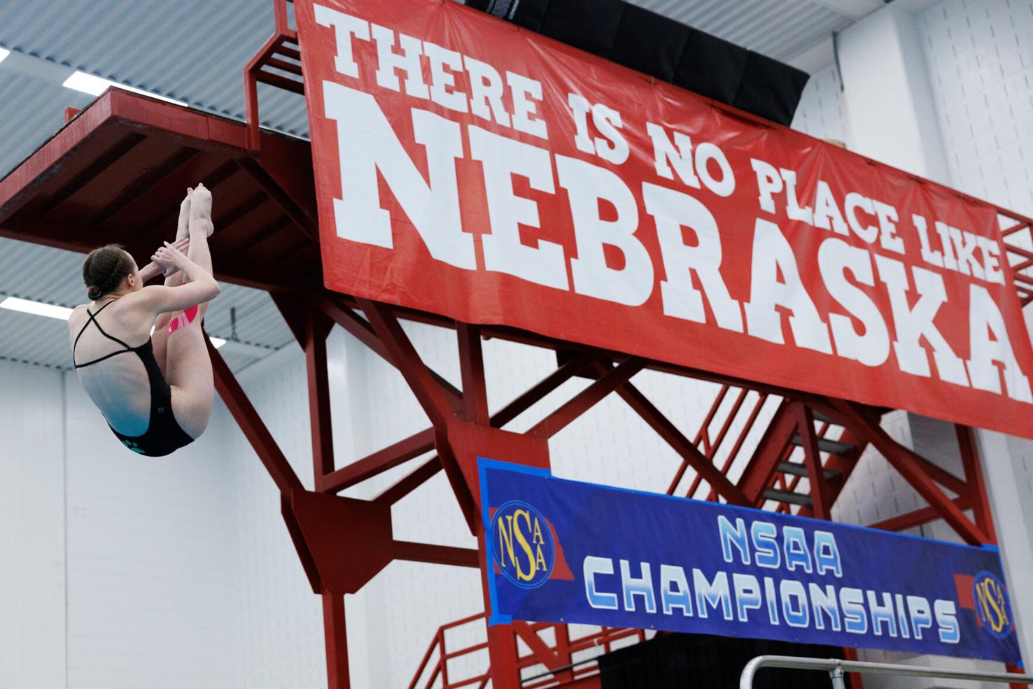 Farr brothers finish one, two at state diving championships