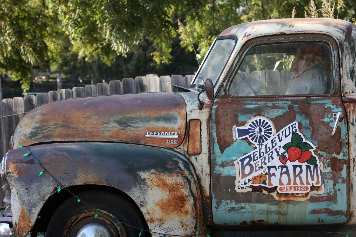 Here's a guide to pumpkin patches near Omaha offering fall-themed fun