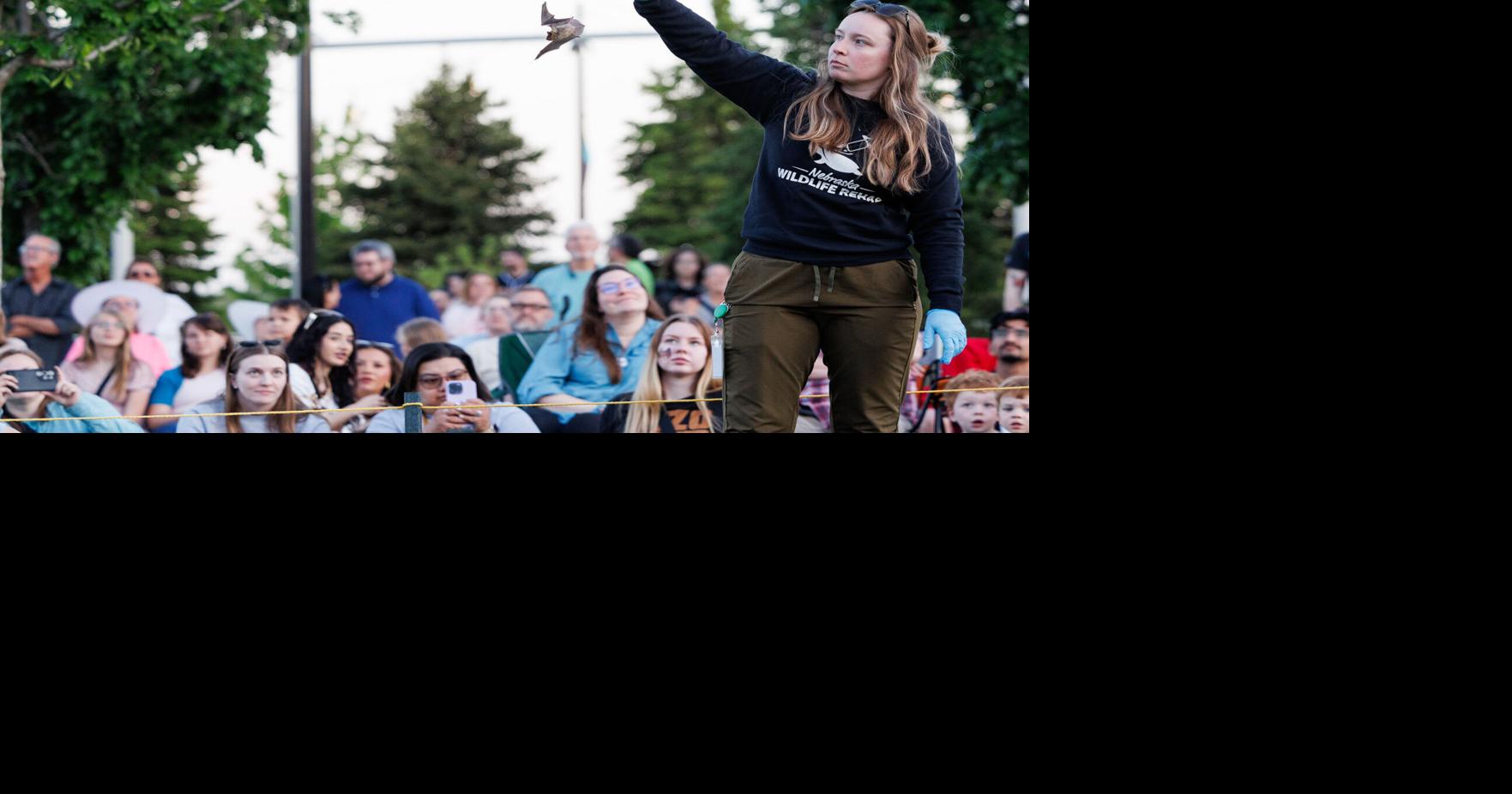Photos: Dozens of bats released in downtown Omaha after rehabilitation