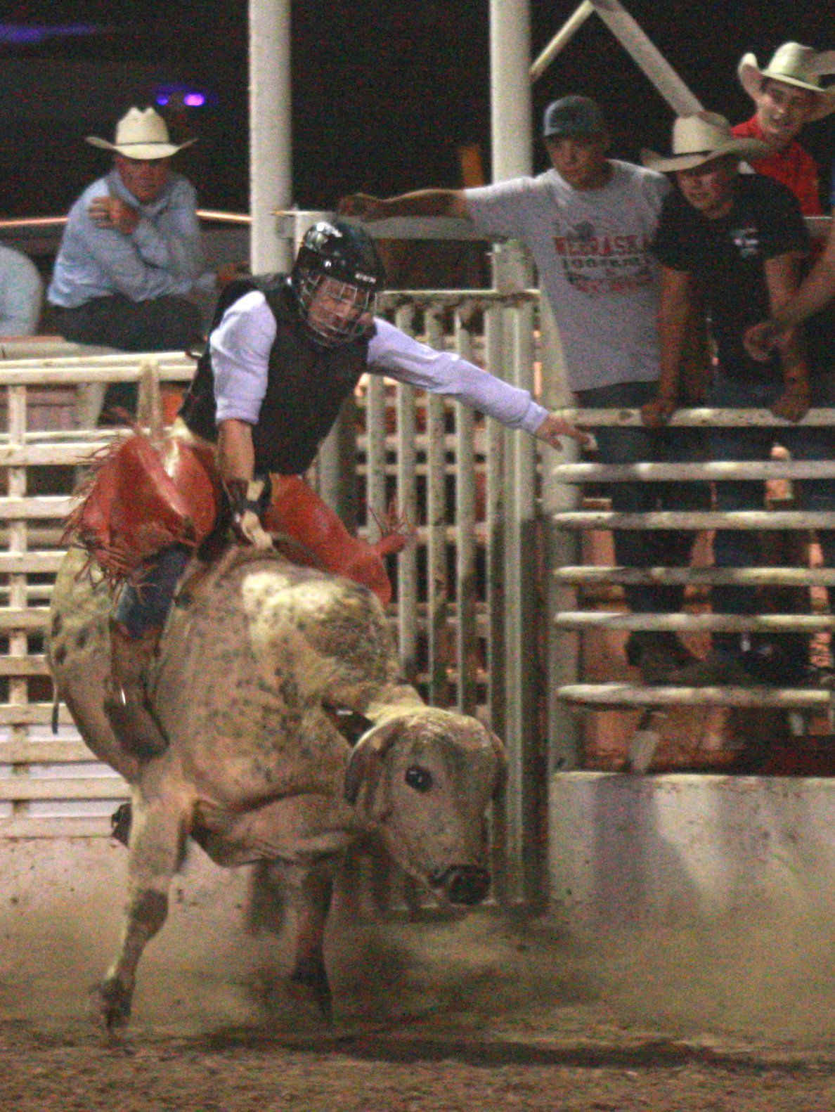 Sarpy County Fair produces big numbers | Papillion Times | omaha.com