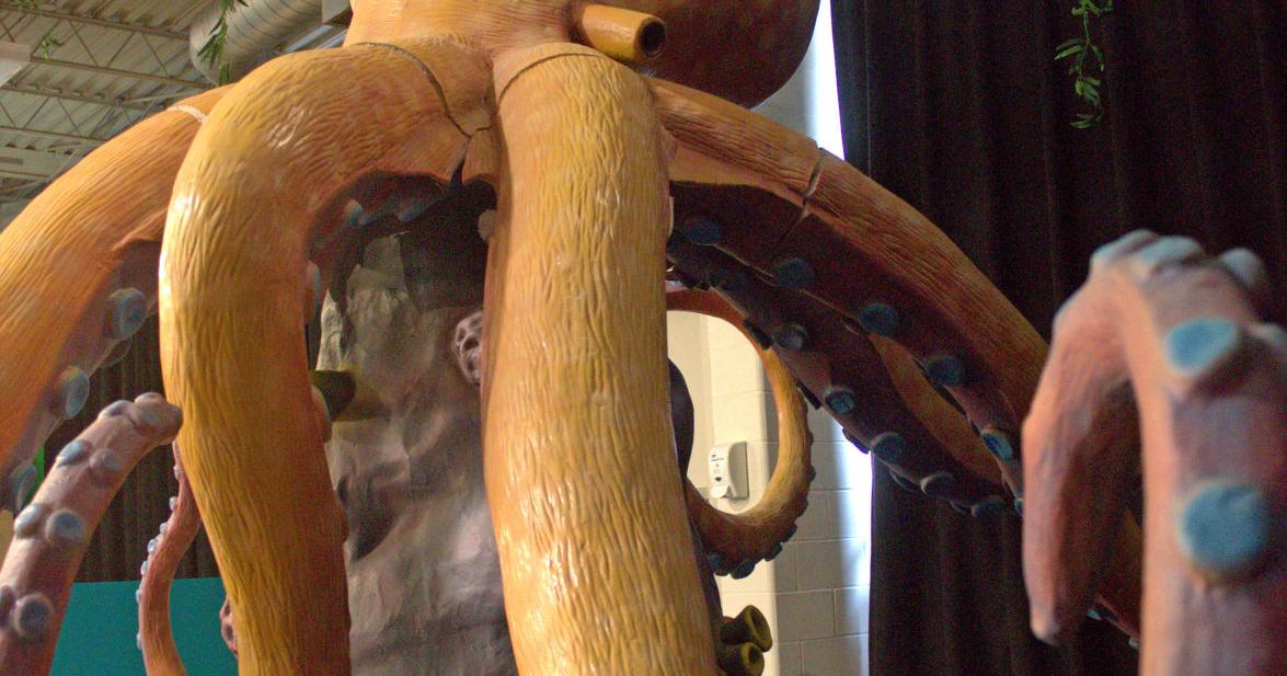 Shipwrecks, pirates, mermaids: Omaha museums set sail with new exhibits