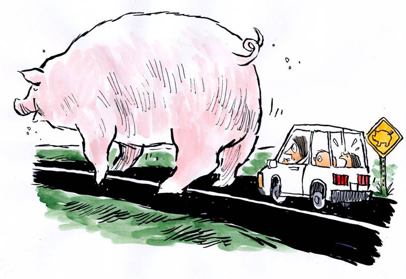 The 7 types of outrageous drivers we've all encountered on Omaha roads