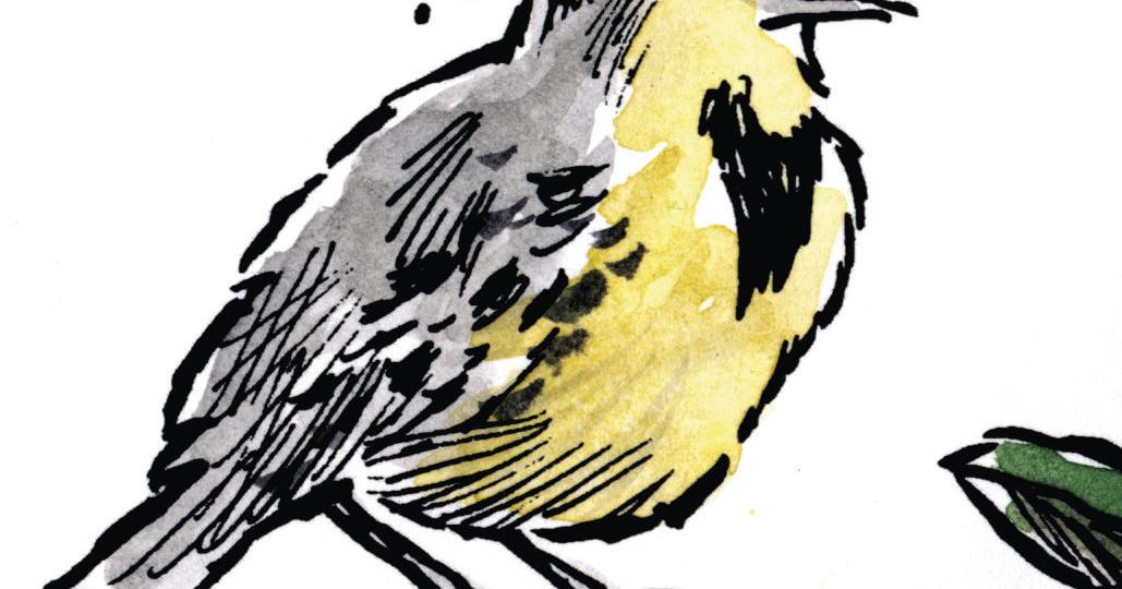 Jeff Koterba's latest cartoon: Symbols of Nebraska