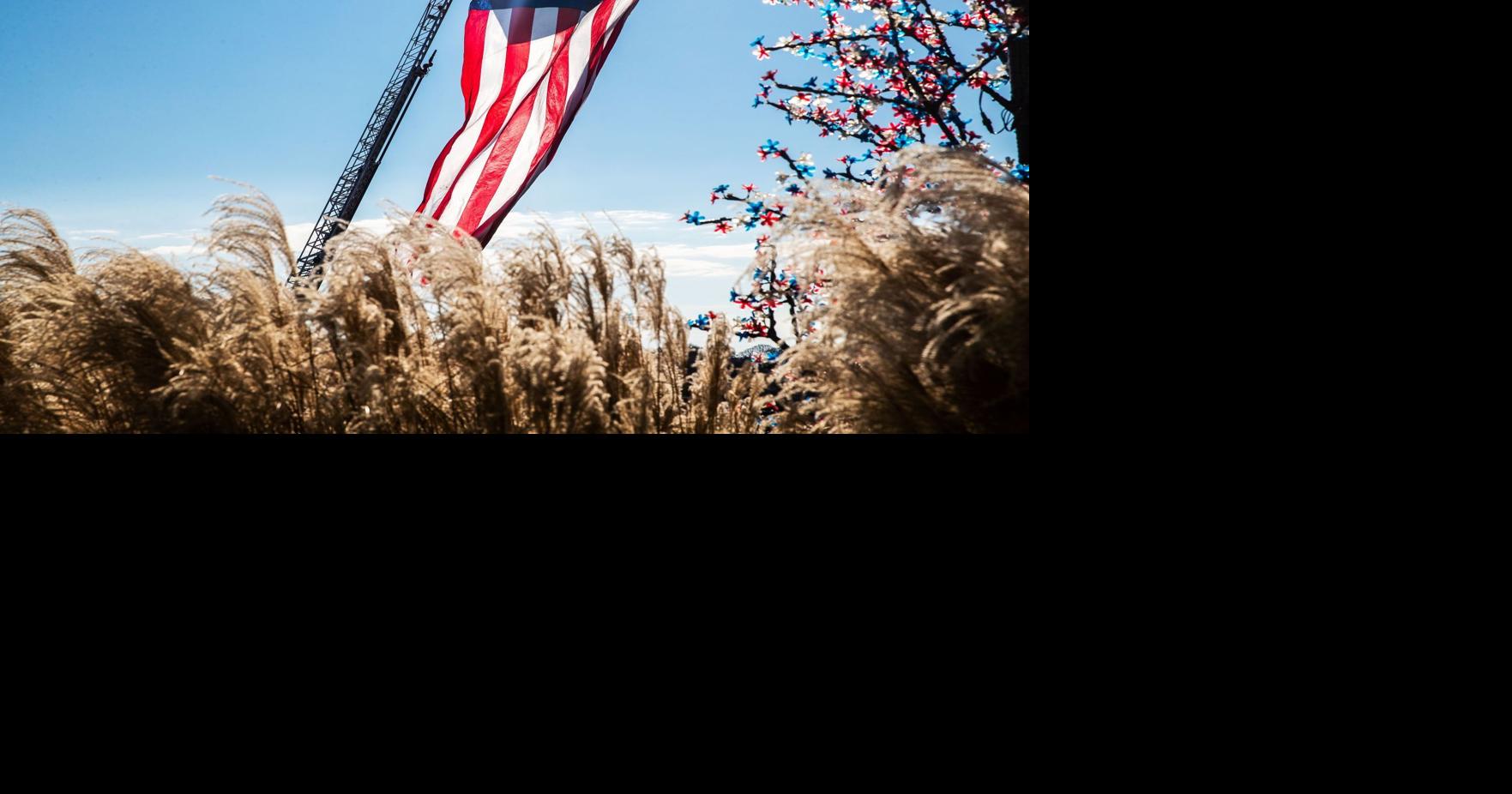 Alfred Lubrano: Flying the flag while understanding our national ...