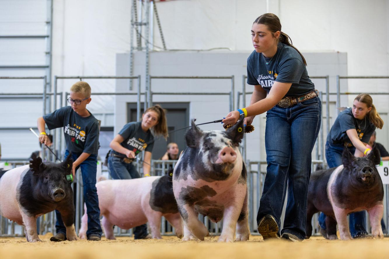 Nebraska Sen. Ricketts promotes Trump agenda at state fair