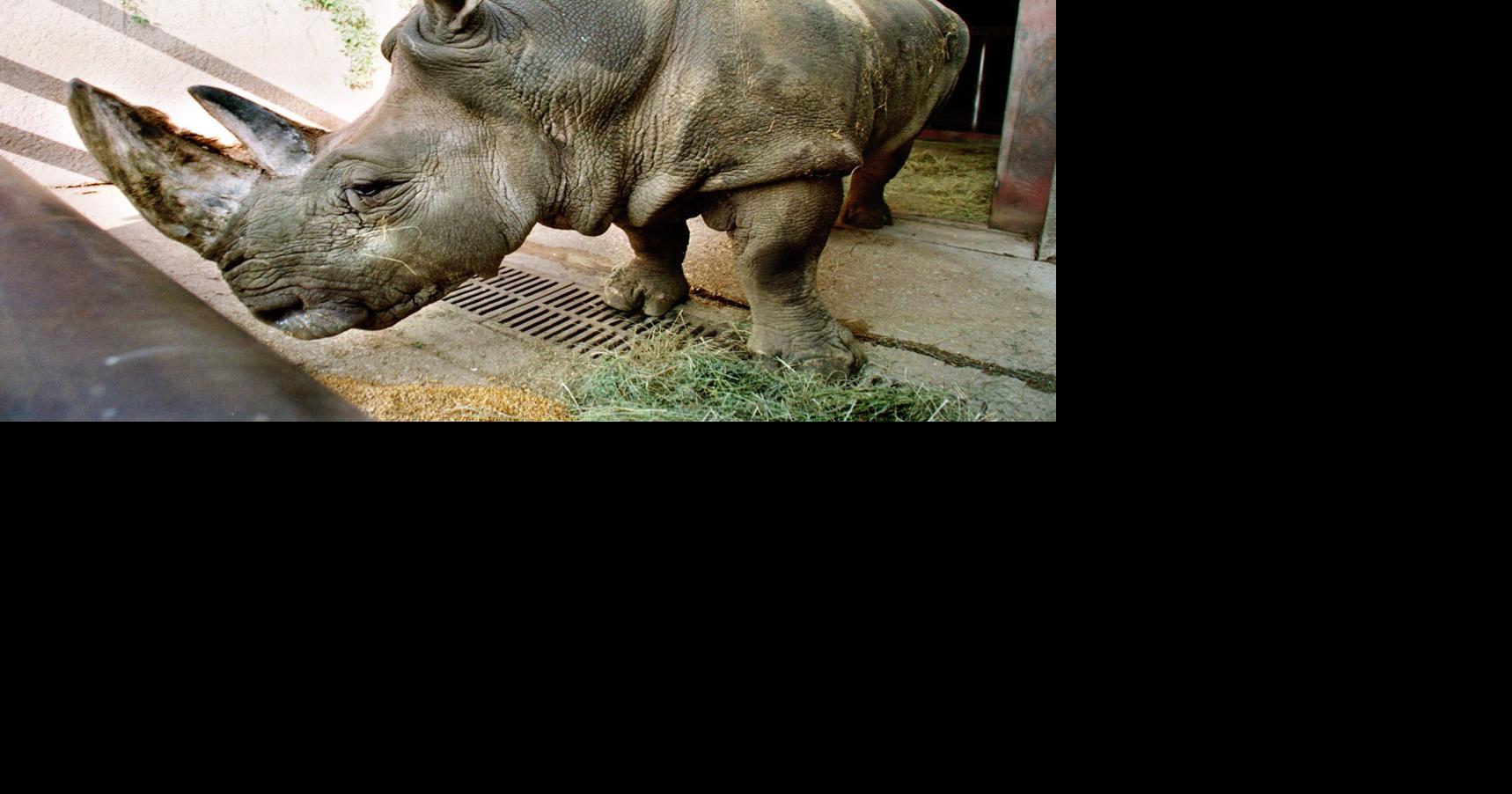 The Public Pulse: An insult to animals