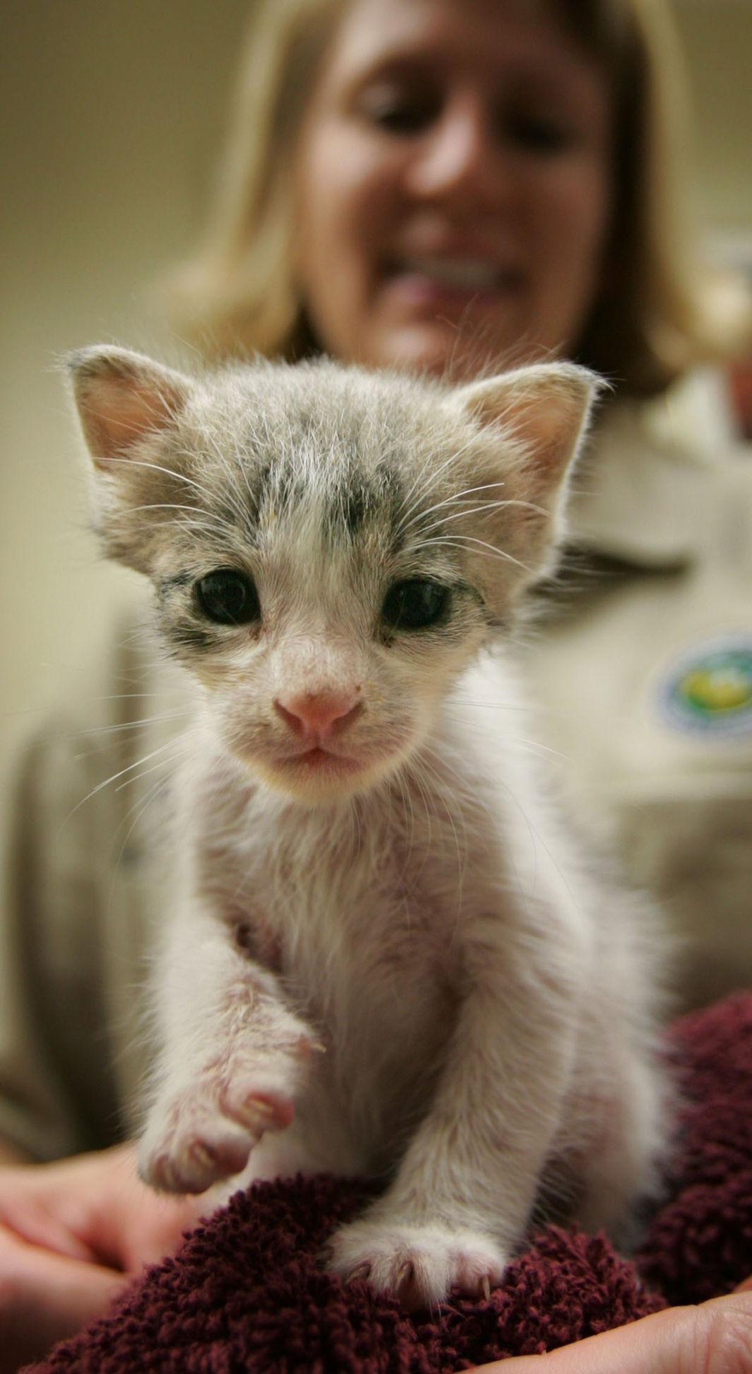 Hurricane Katrina: World-Herald photos from New Orleans