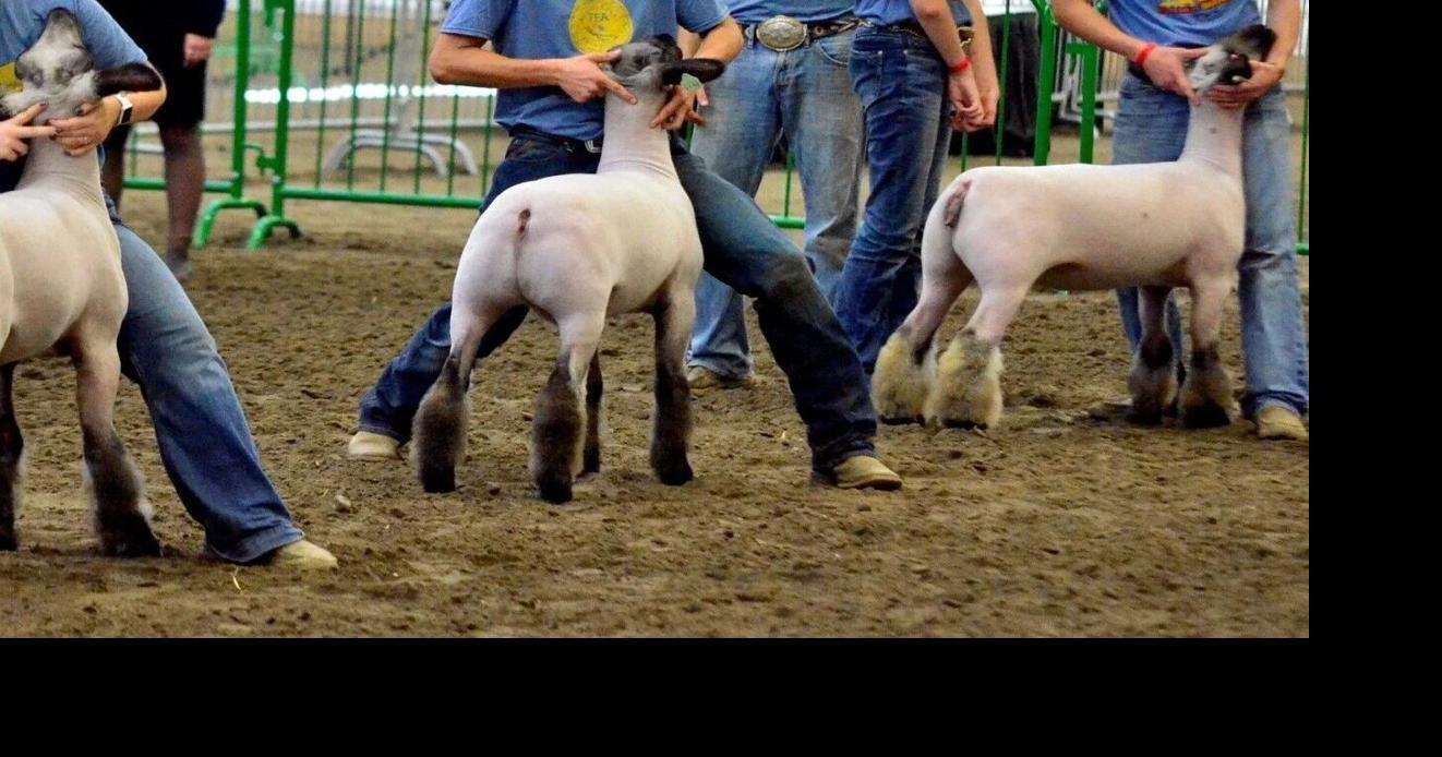 After titles vacated, Reserve, Grand Champion parents sue