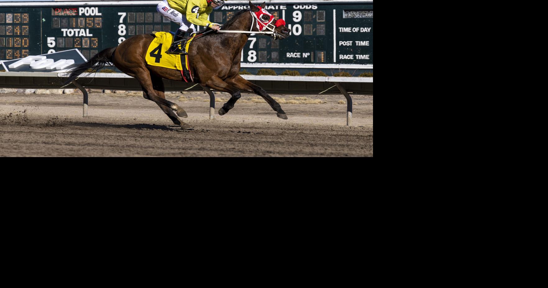 Horse racing: Dustyn Stortzum one of nation's youngest announcers at ...