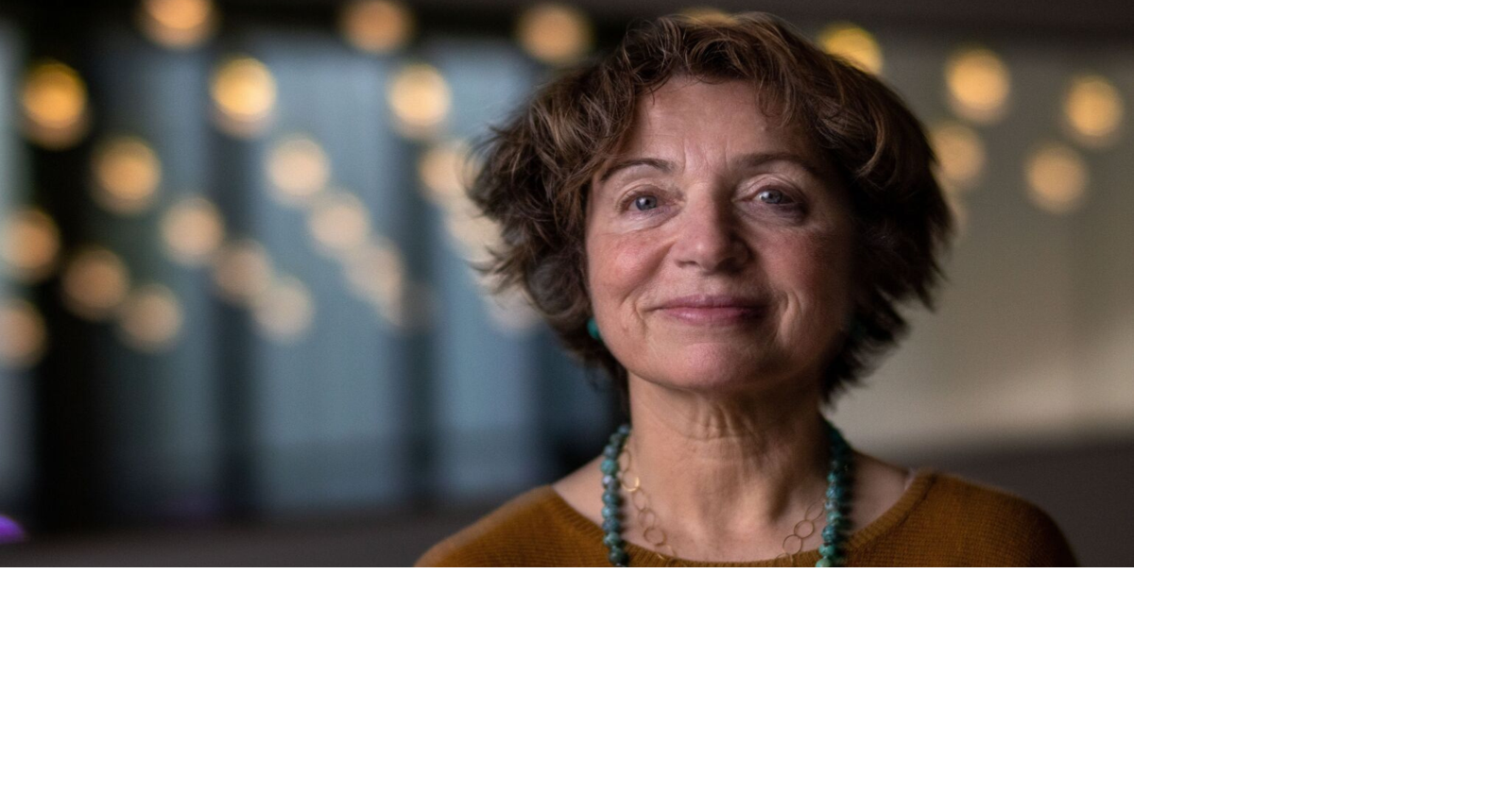 Kiewit Luminarium seeking new CEO after resignation of Silva Raker