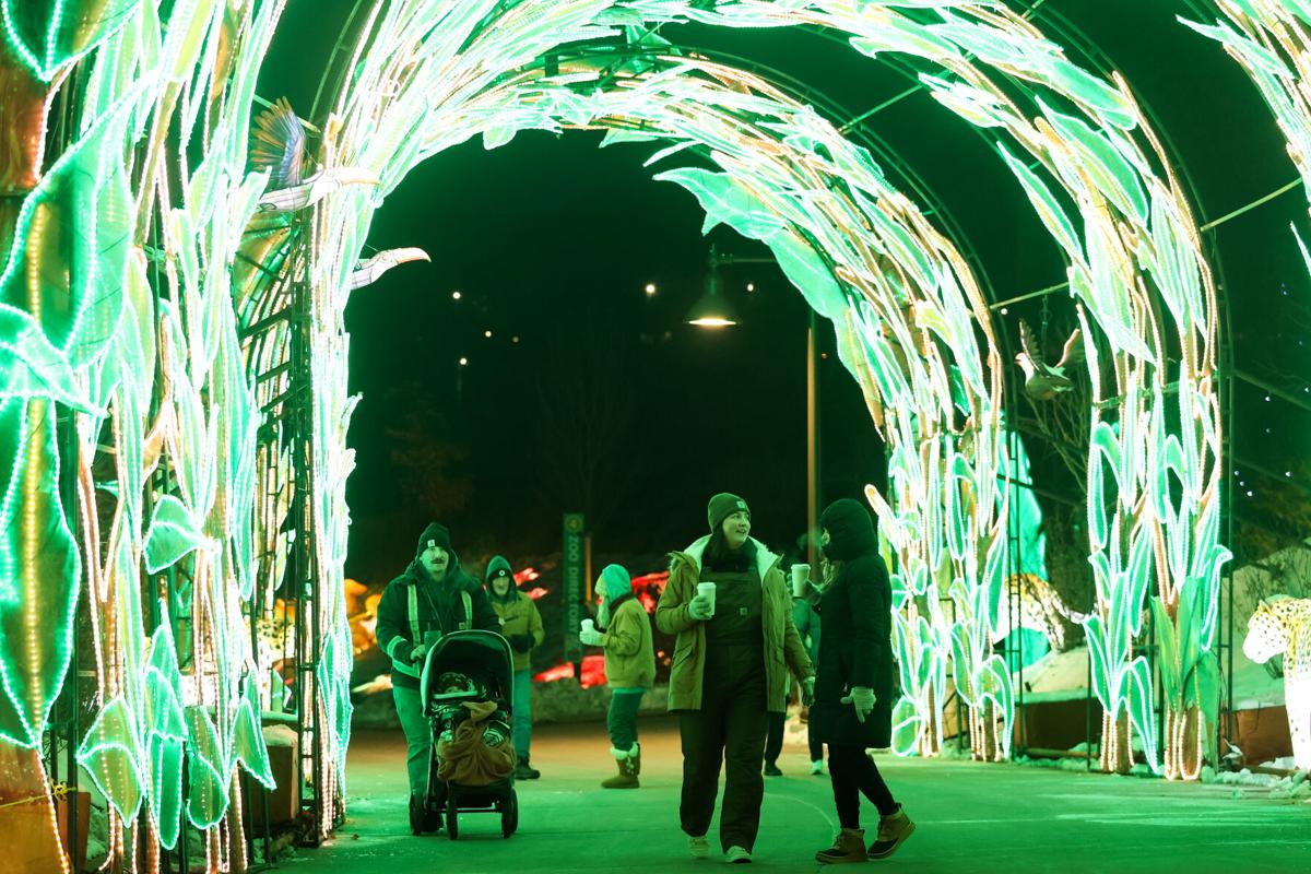 Photos: Omaha's Henry Doorly Zoo and Aquarium hosts Zoolightful