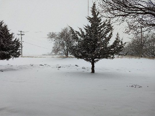 Easter snowstorm dumps up to 11 inches on Nebraska, causes about 2 ...