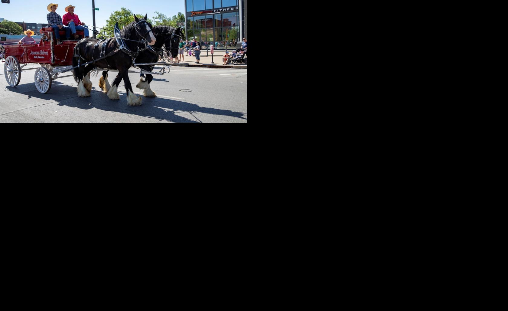 Rooted in remembrance, the fourth annual Patriotic Parade comes to ...