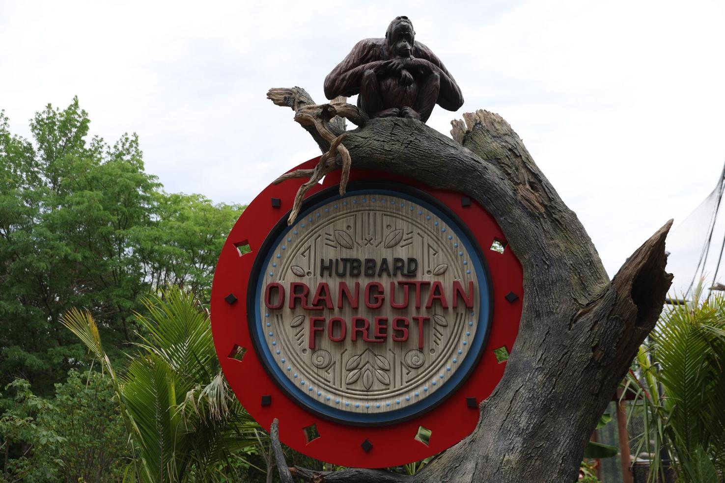 Photos: Henry Doorly Zoo unveils new orangutan exhibit