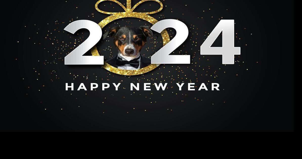 5 New Year resolutions for pet owners