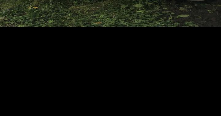 Wahoo man charged with attempted murder after ramming police cruisers ...