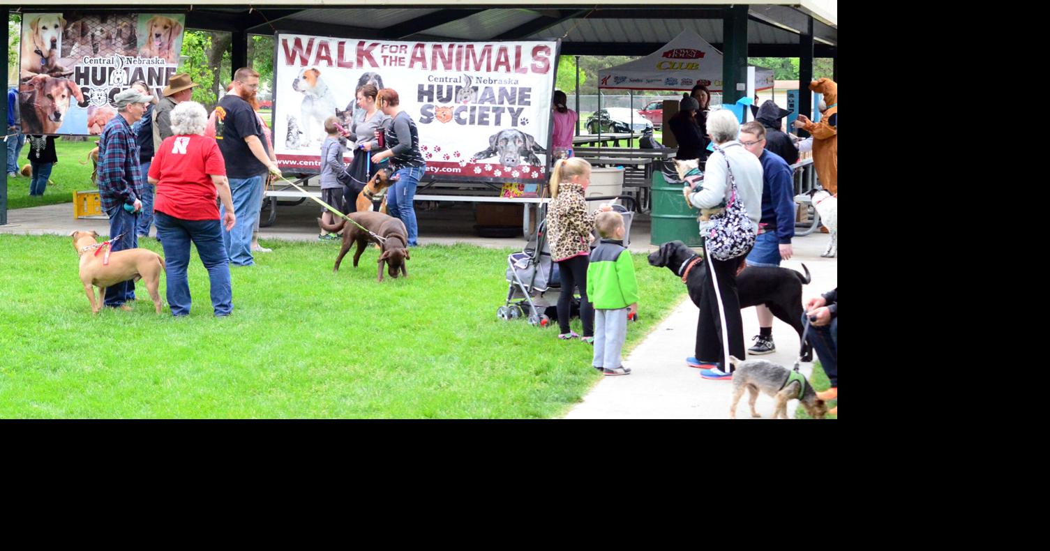 Reminisce on a doggone good cause