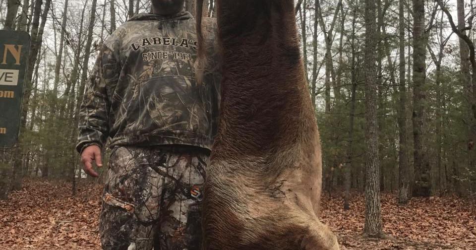 Big boar hunting in Tennessee a change of pace for Nebraskans ...