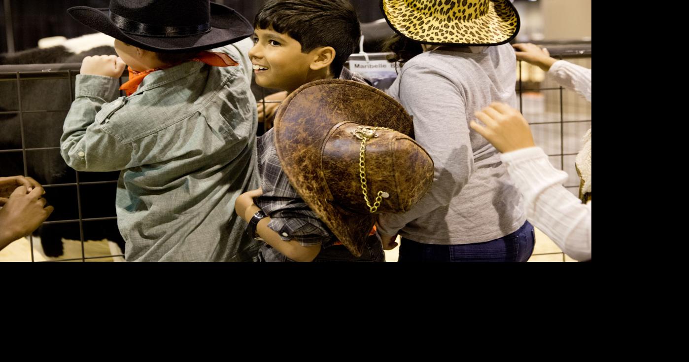 At River City Rodeo, students get glimpse of farm life in the city